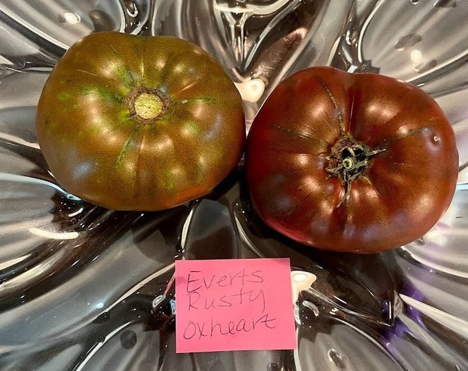 Everett's Rusty Oxheart Tomato Seeds - Etsy