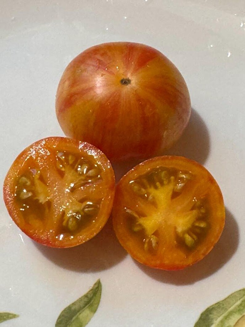 Cosmic Burst Tomato Seeds - Etsy