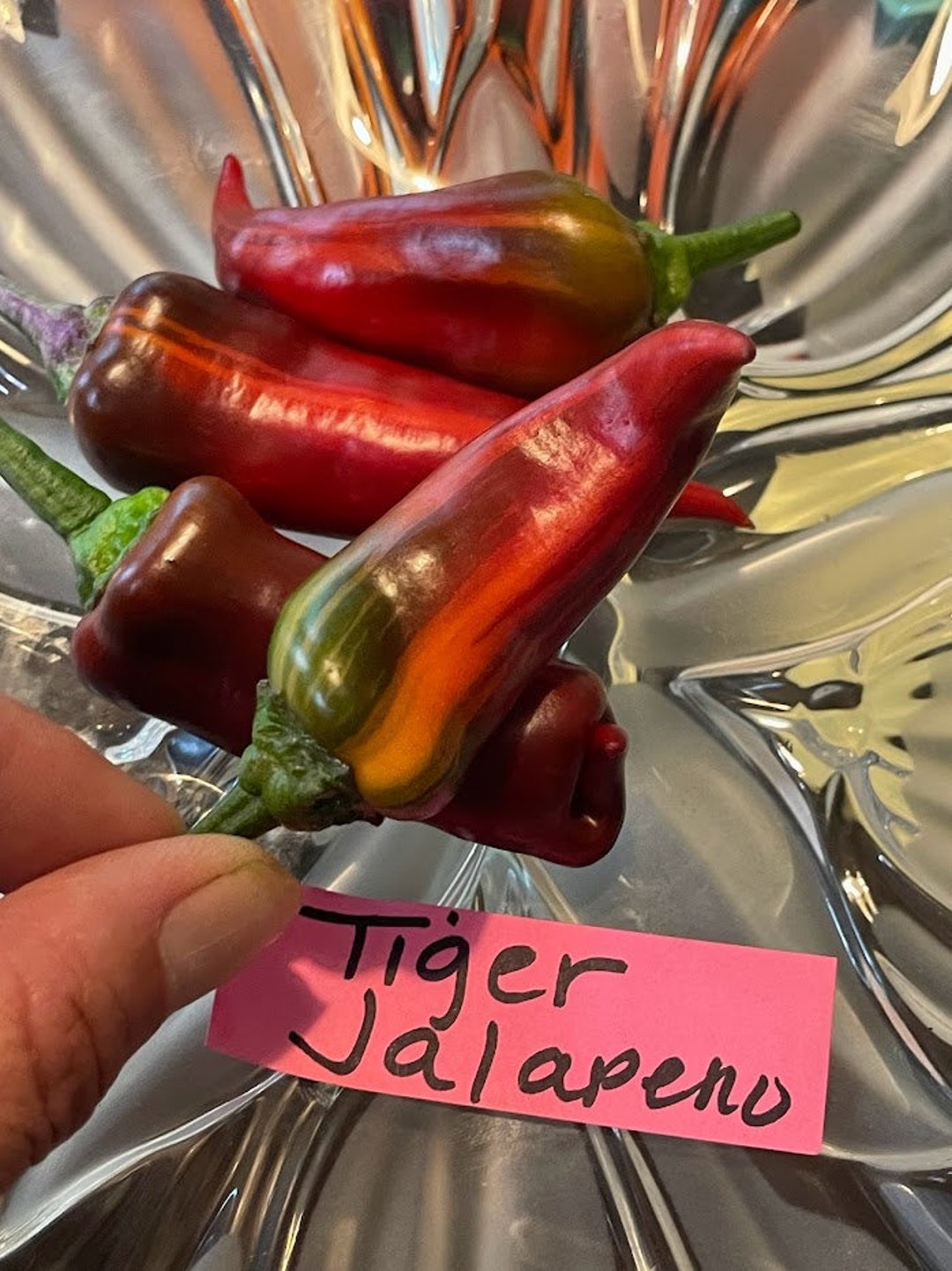 Tiger Jalapeno Pepper Seeds - Etsy