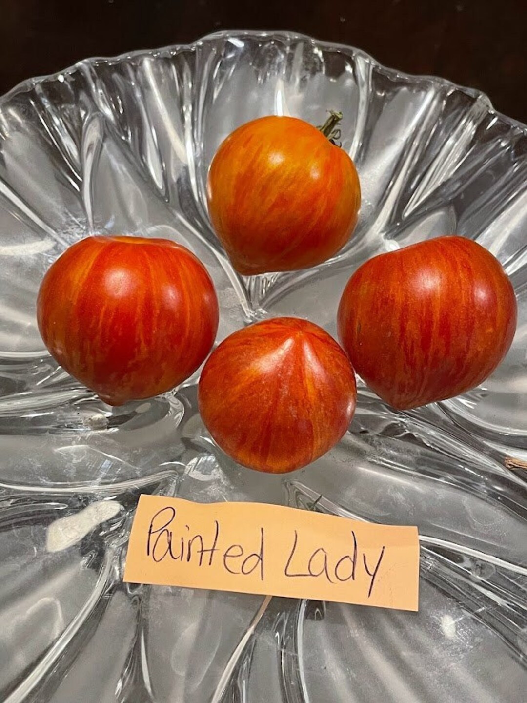 Painted Lady VARIEGATED Tomato Seeds - Etsy