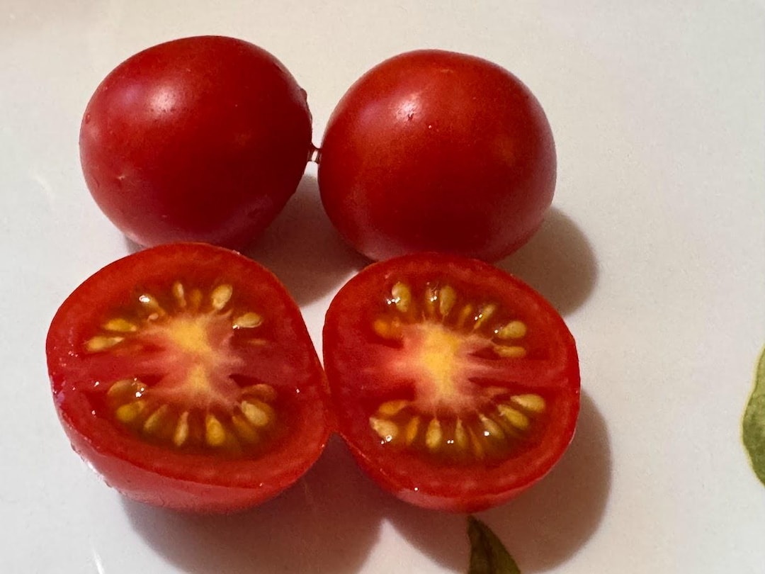 Pink Princess Tomato Seeds - Etsy