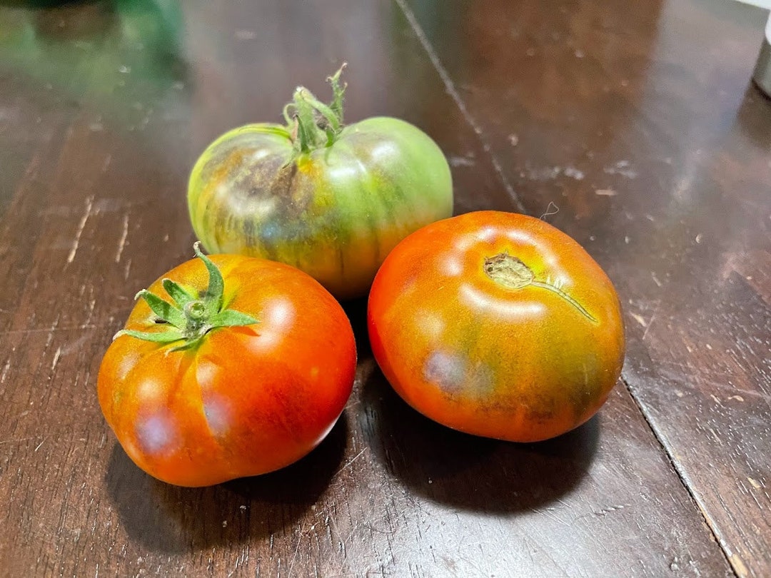 GRUB Tomato Seeds - Rare Russian Variety! - Etsy