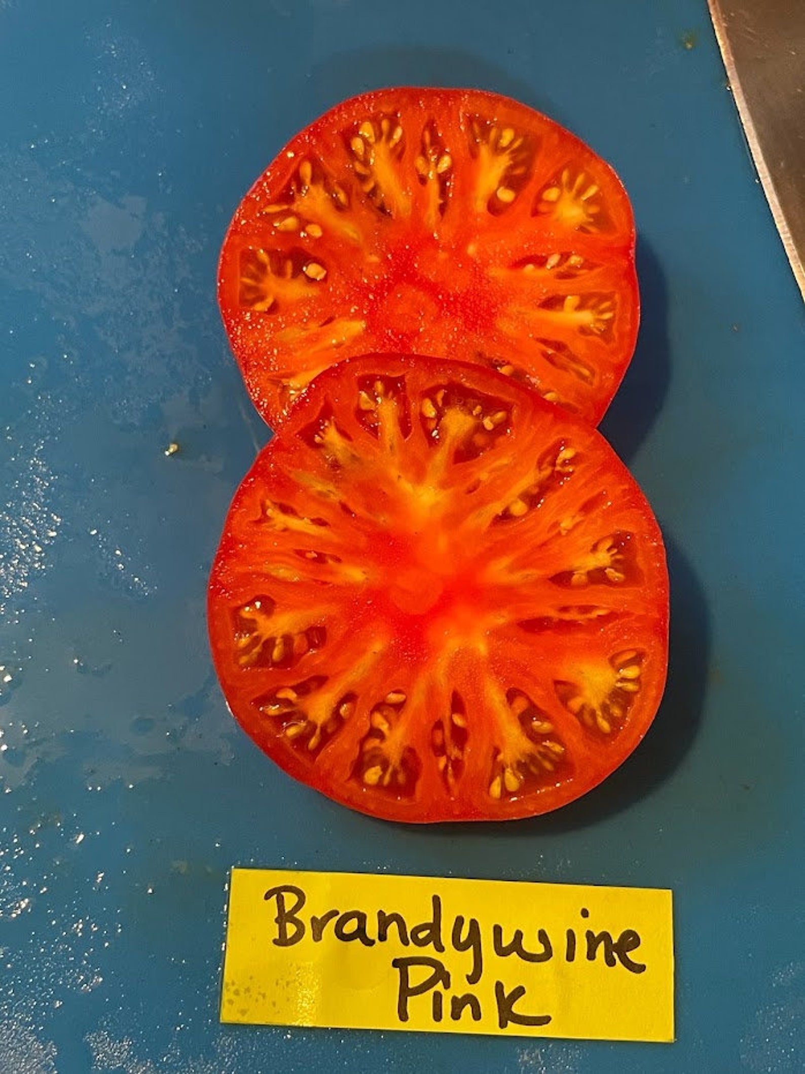 Brandywine Pink Tomato Seeds - Etsy