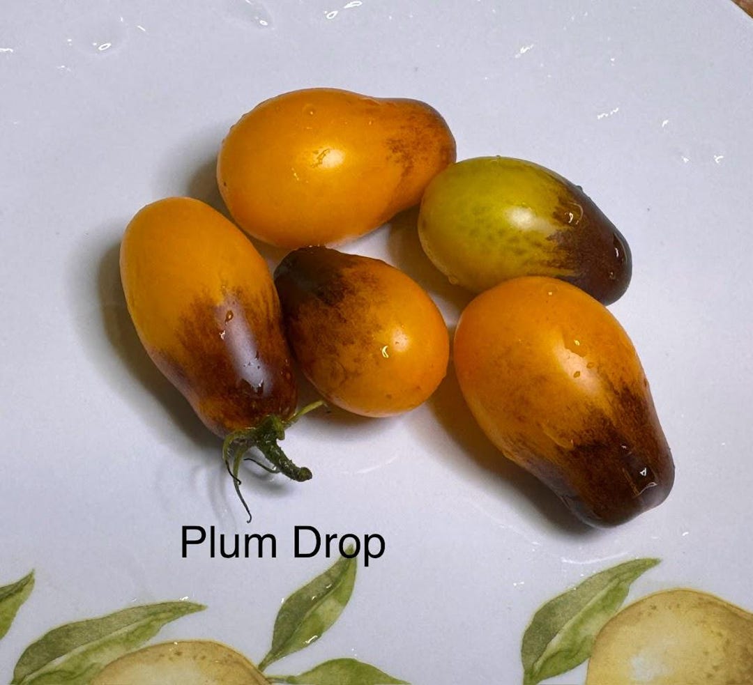 Plum Drop Tomato Seeds - Etsy