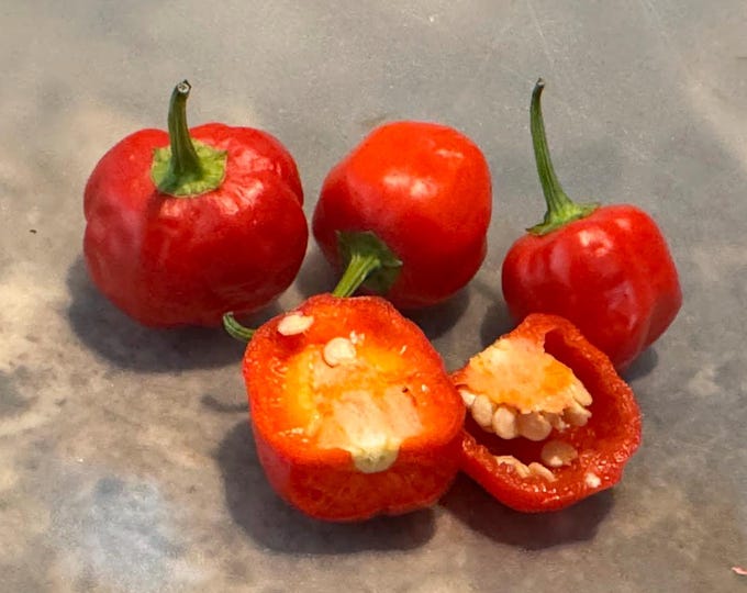 Malawi Piquante Peppadew Pepper Seeds - Etsy