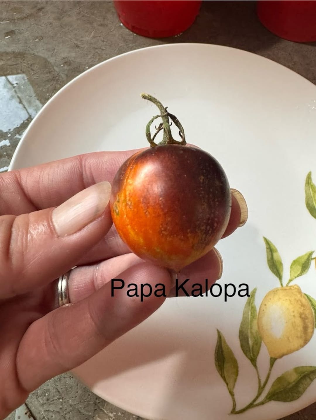 Papa Kalopa Tomato Seeds - Etsy