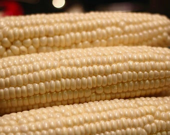 Snow White Popcorn - Etsy