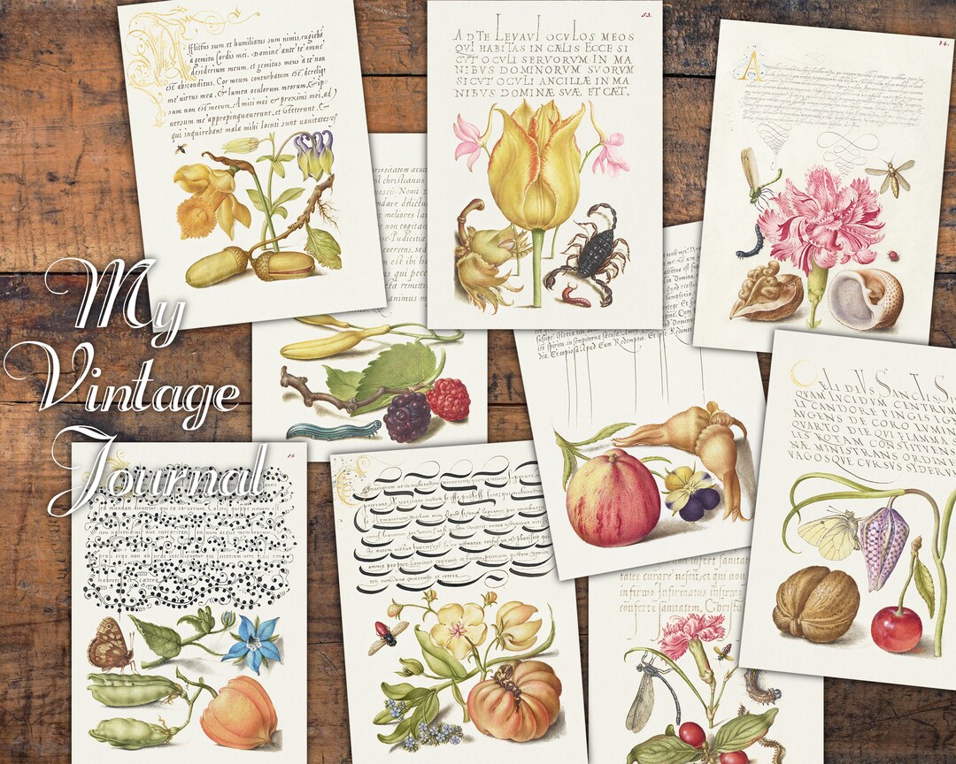 Flowers Insects Digital Printables Jonk Journal Papers - Etsy