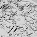 3D Disneyland | Digital Files | 3D STL File | Disneyland 3D Map | 3D ...
