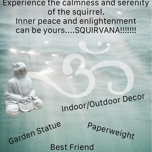 Cement Squirrel Statue. Outdoor or Indoor. Small Meditating Buddha Yoga ...