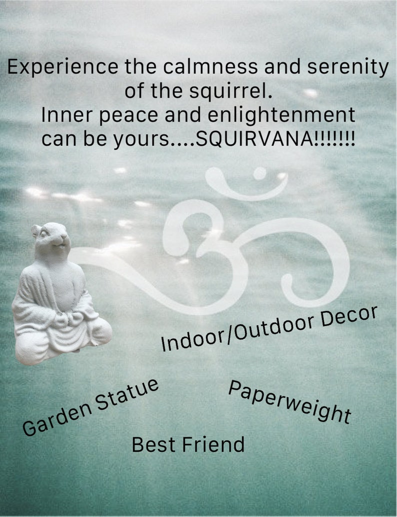 Cement Squirrel Statue. Outdoor or Indoor. Small Meditating Buddha Yoga ...