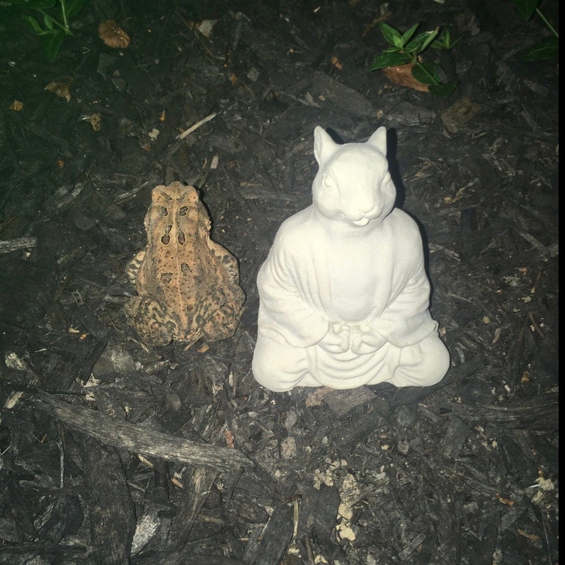 Cement Squirrel Statue. Outdoor or Indoor. Small Meditating Buddha Yoga ...