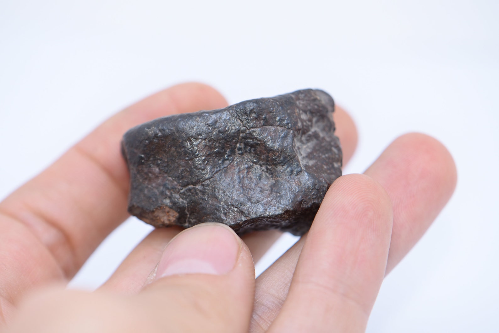 Meteorite Chondrite Moroccan Sahara Meteorite | Etsy