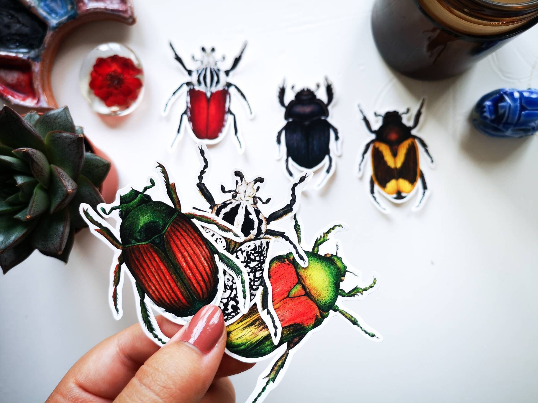 Beetles vinyl sticker pack: insect waterproof sticker | Etsy