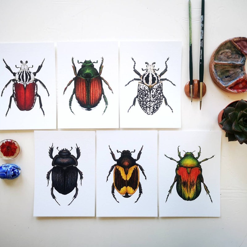 Beetle Illustration - Etsy