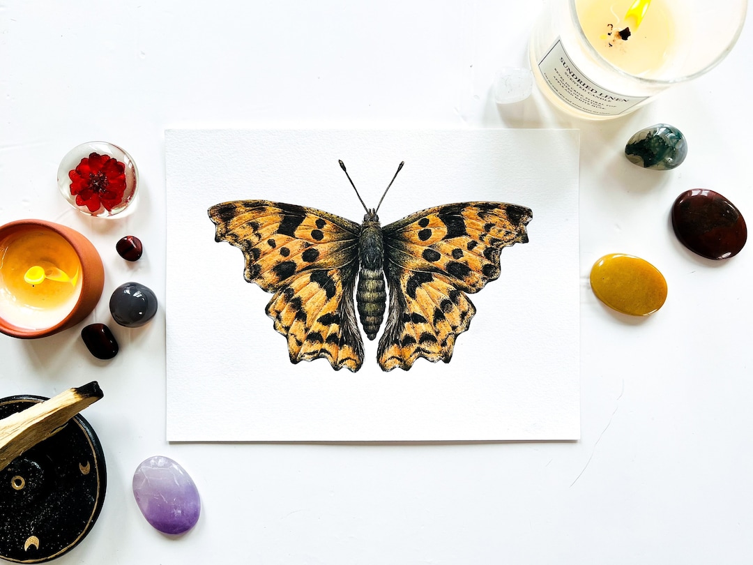 Comma Butterfly Original Watercolor Painting: Butterfly Artwork, Insect ...