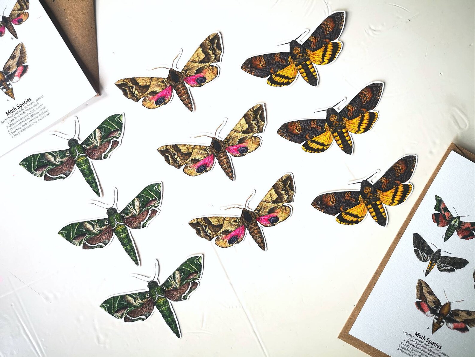 Moth Vinyl Sticker Pack: Butterfly Moth Sticker Set Insect - Etsy