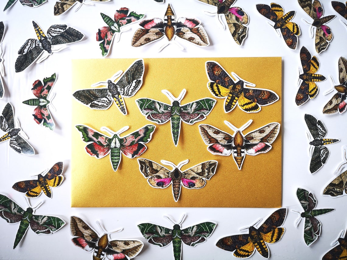 Moth Vinyl Sticker Pack: Butterfly Moth Sticker Set, Insect Stationery ...