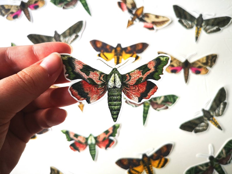 Moth Vinyl Sticker Pack: Butterfly Moth Sticker Set Insect - Etsy