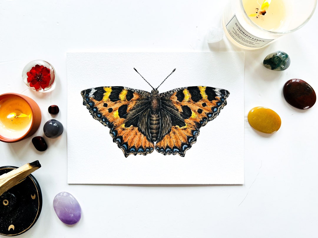 Tortoiseshell Butterfly Original Watercolor Painting: Butterfly Artwork ...