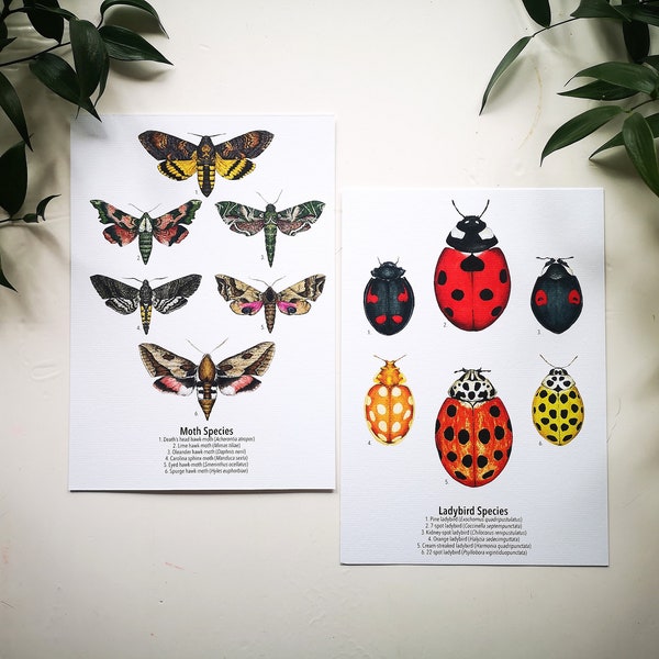 Lady With Flower Head Poster - Etsy