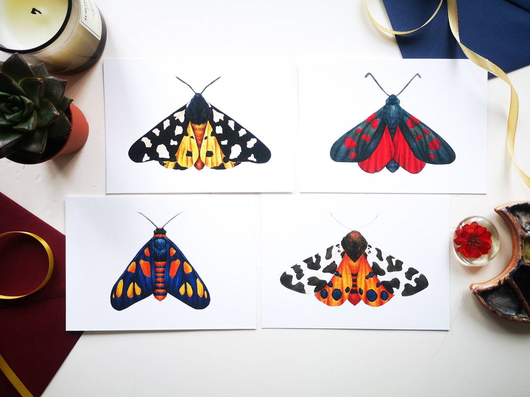 Moth Print Set A6: Butterfly Wall Decoration, Insect Entomology ...
