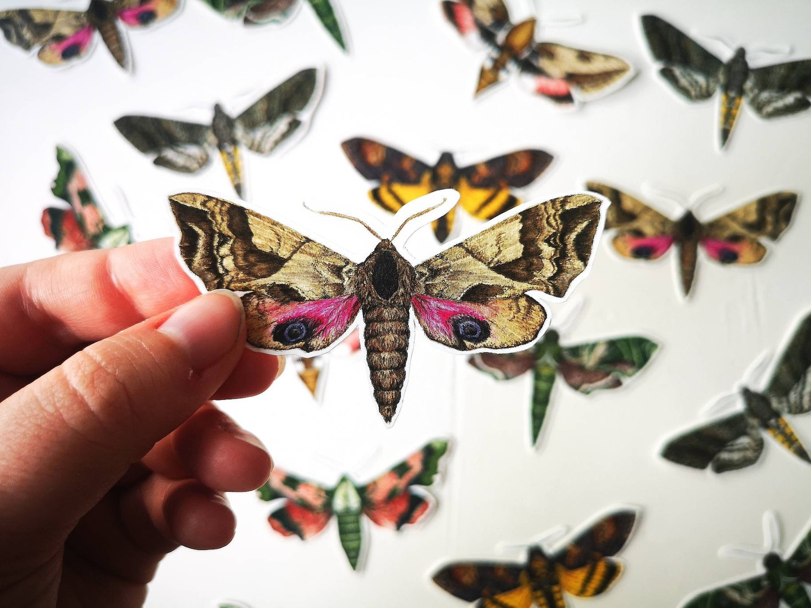 Moth Vinyl Sticker Pack: Butterfly Moth Sticker Set Insect - Etsy
