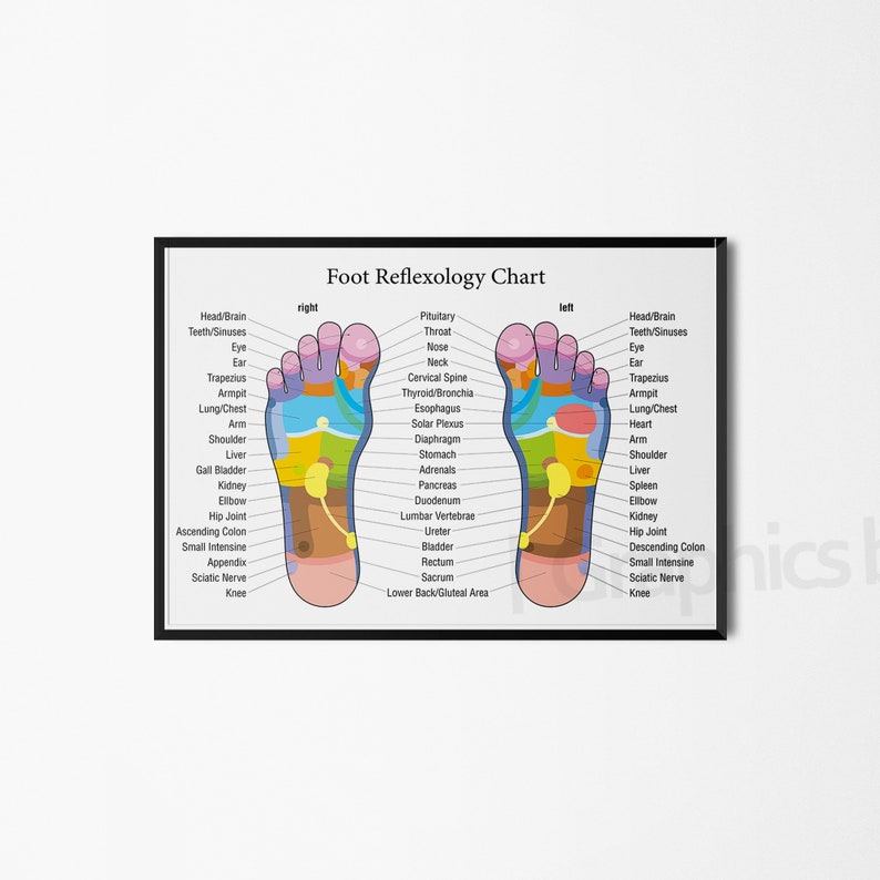 Foot Reflexology Map/foot Chart Print Labelled Medial Lateral | Etsy UK