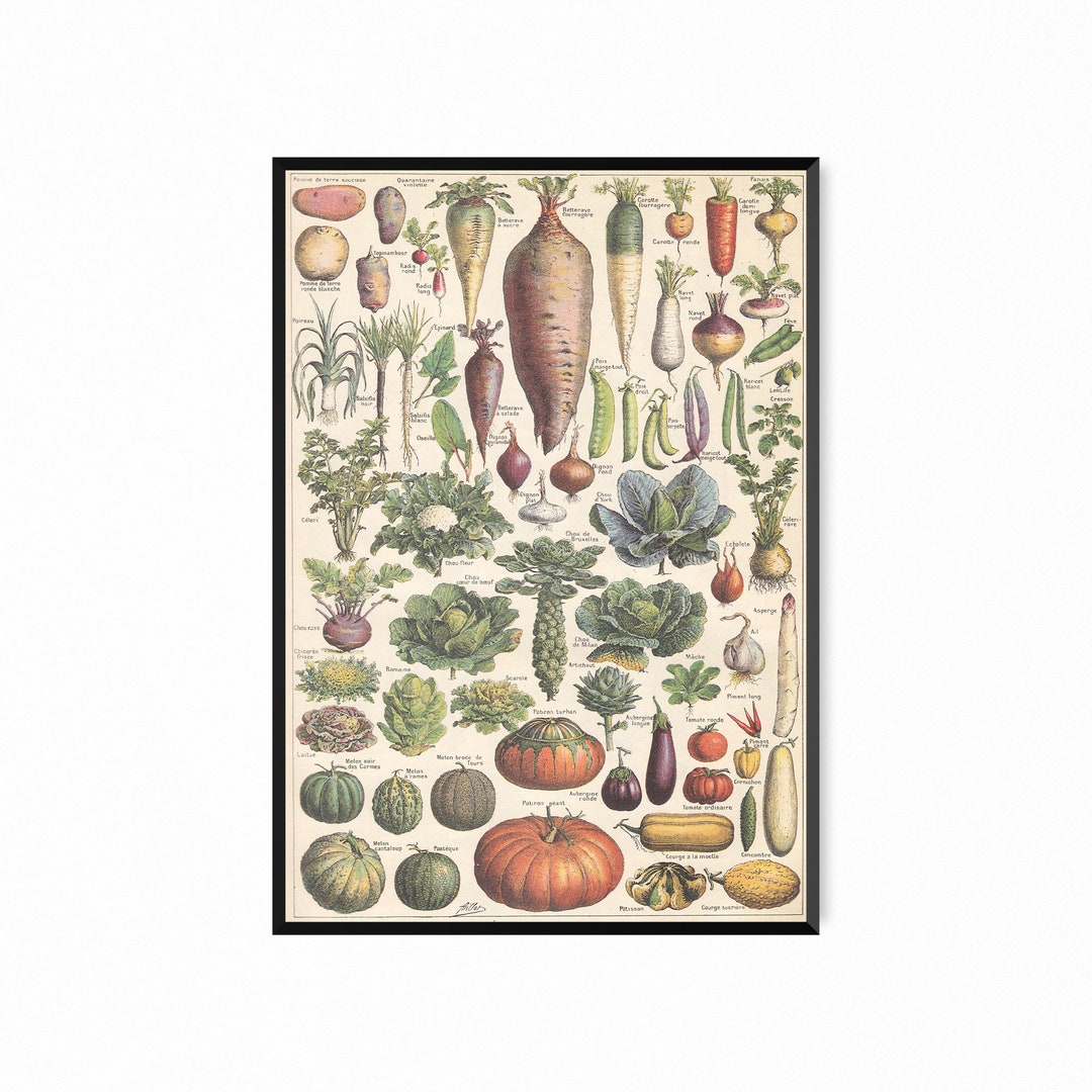 Vintage Vegetable Poster for Kitchen Housewarming Gift Colourful ...