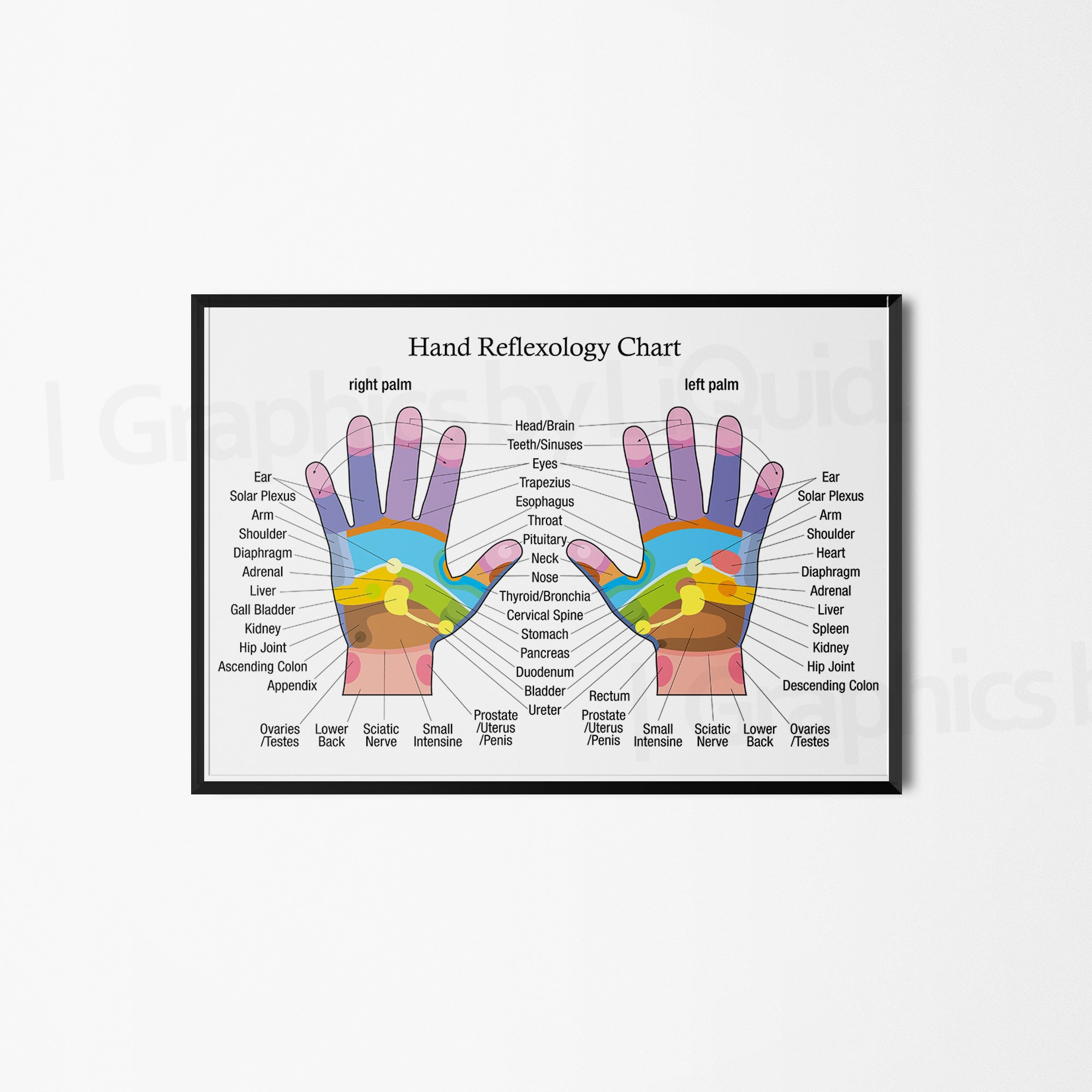 Vertebral Column Reflexology Chart Print Labelled Medial Lateral Chart ... Vertebral Column Reflexology Chart Print Labelled Medial Lateral Chart ...
