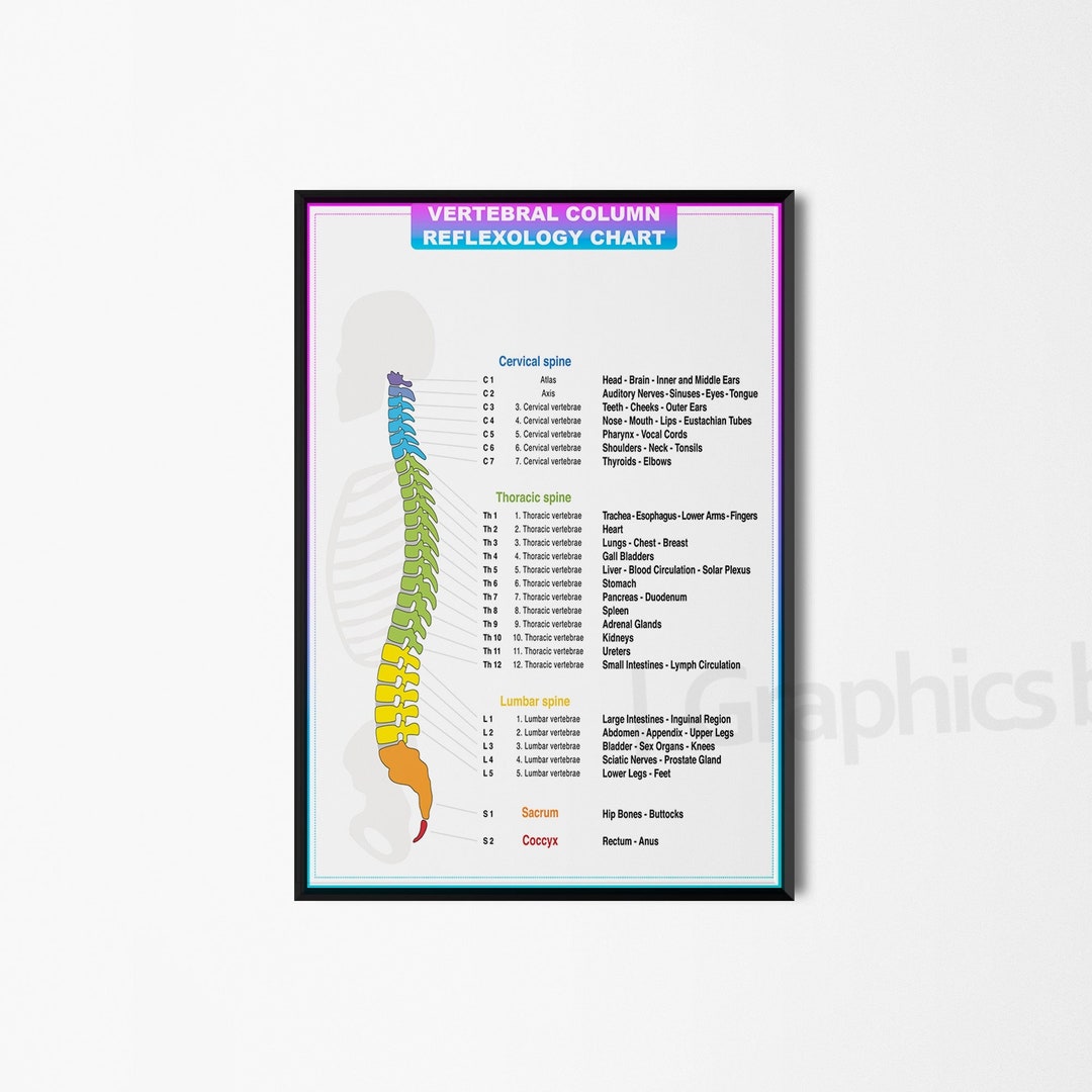 Vertebral Column Reflexology Chart Print Labelled Medial Lateral Chart ...