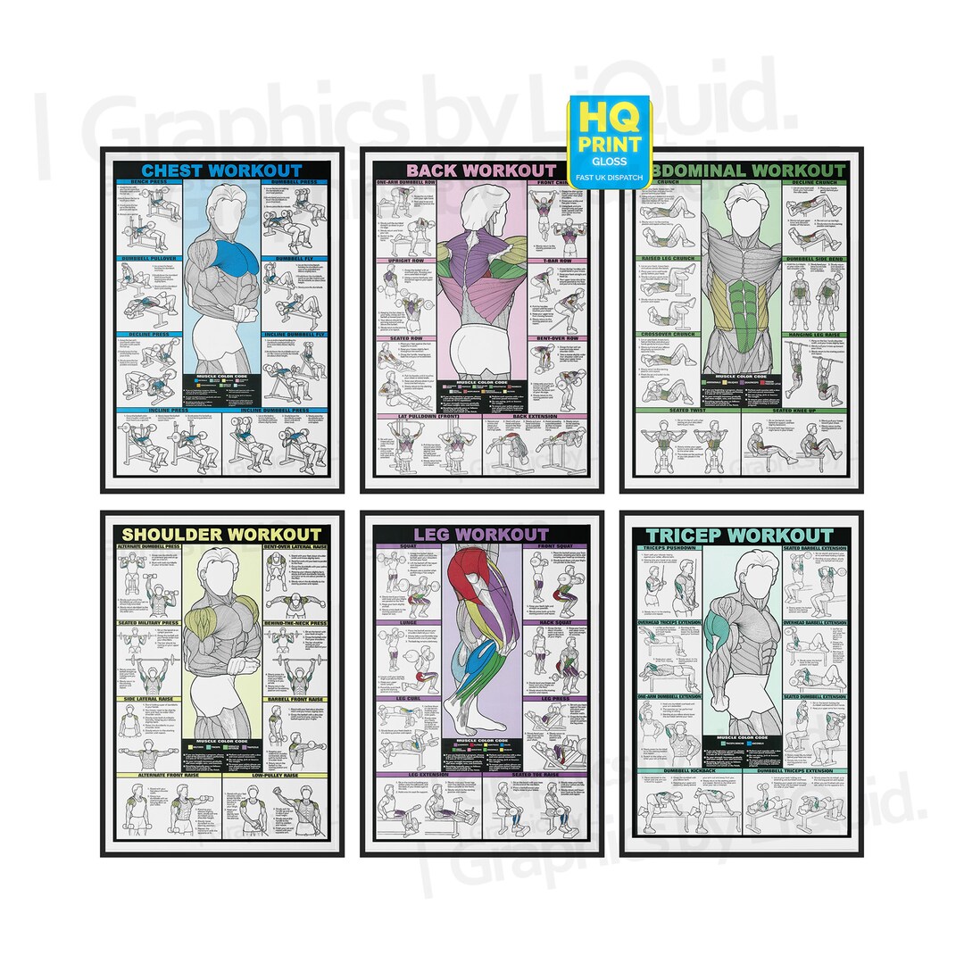 Fitness Workout Poster, Exercise Chart, Set of 6 Workout Chart, Workout ...
