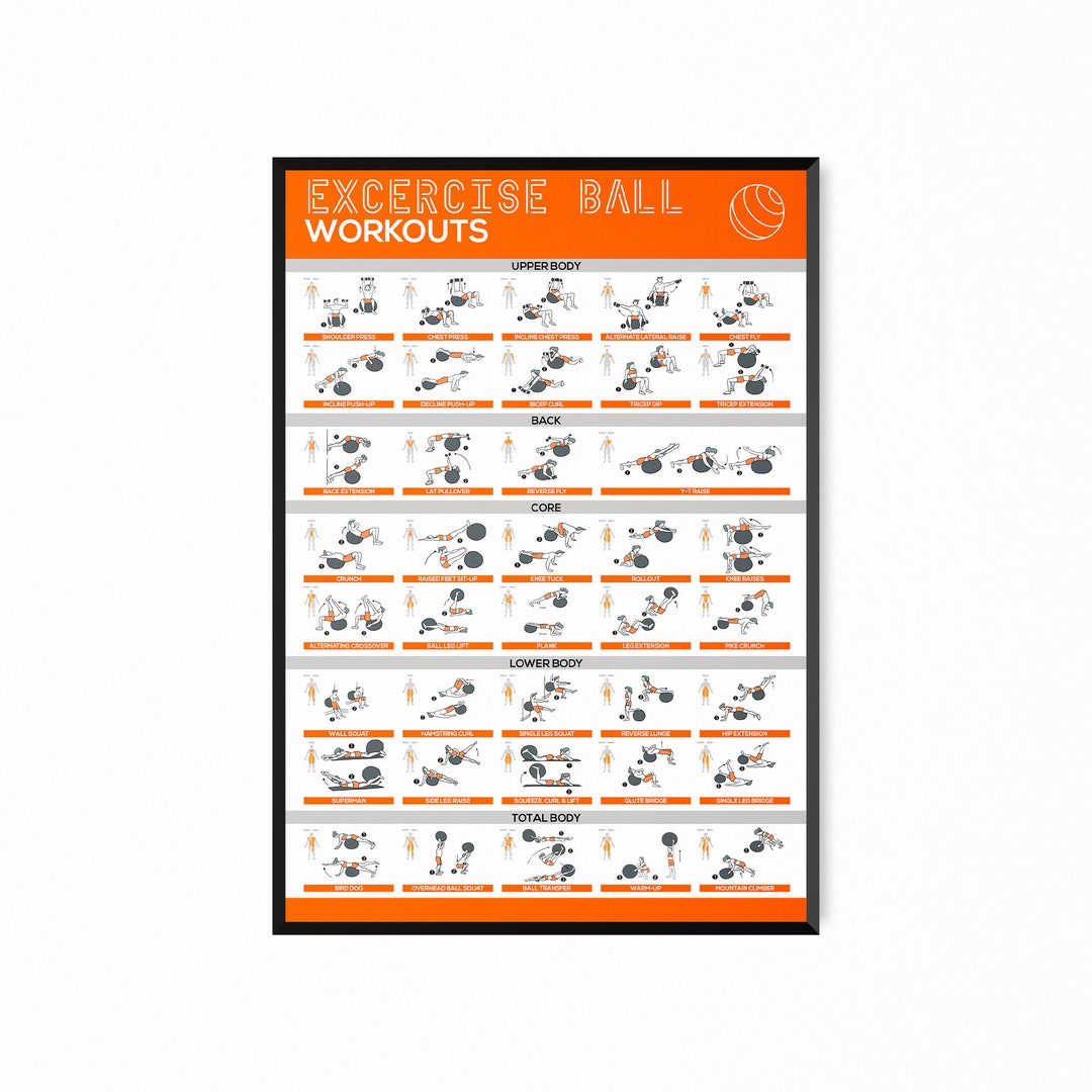 Exercise Ball Workout Chart, Fitness Workout Exercises Poster Print ...
