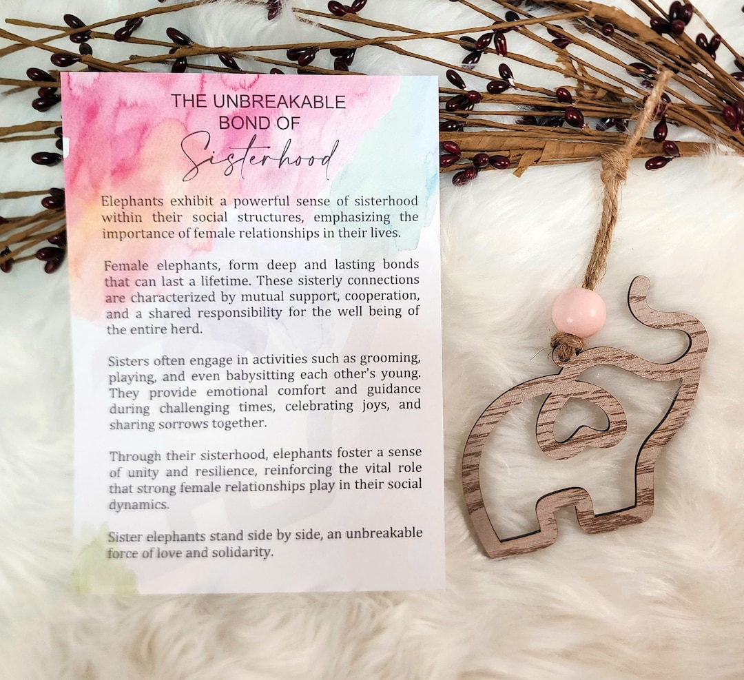 Unbreakable Bond of Sisterhood, Elephant Ornament, Friendship Gift, Car ...