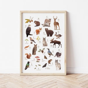 Woodland Alphabet Poster Forest Animal ABC Print Woodland - Etsy