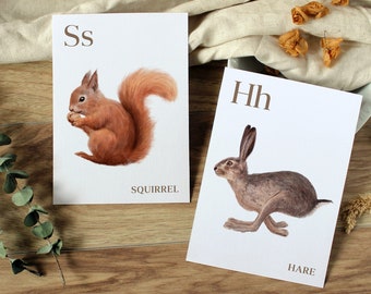 Watercolor Alphabet Clipart Letters Number Woodland Animals - Etsy