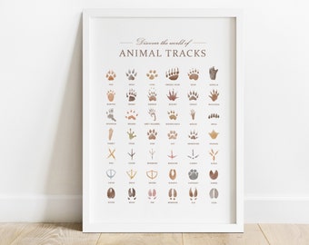 Animal Tracks Poster - Etsy