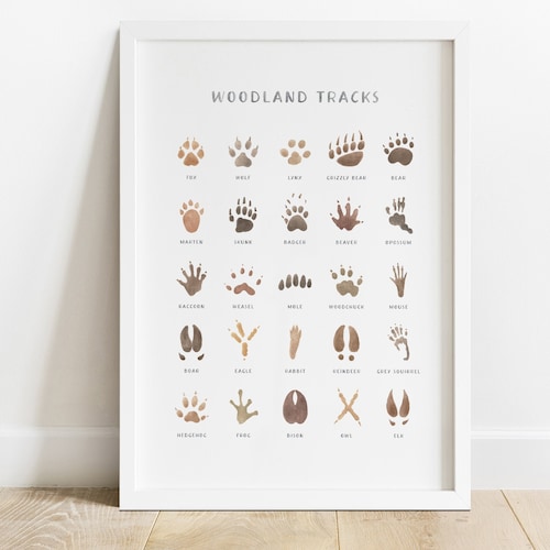 Animal Track Print Woodlands Footprints of the Woodland - Etsy