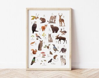 WOODLAND Wall Art Nursery Wall Decor for Kids Forest - Etsy