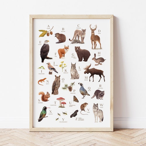 Woodland Alphabet Poster Forest Animal ABC Print Woodland - Etsy