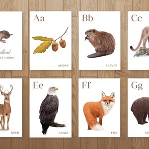 Woodland ABC Cards, Animal Alphabet Cards, Nature Themed Alphabet Cards ...