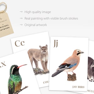 Woodland ABC Cards, Animal Alphabet Cards, Nature Themed Alphabet Cards ...