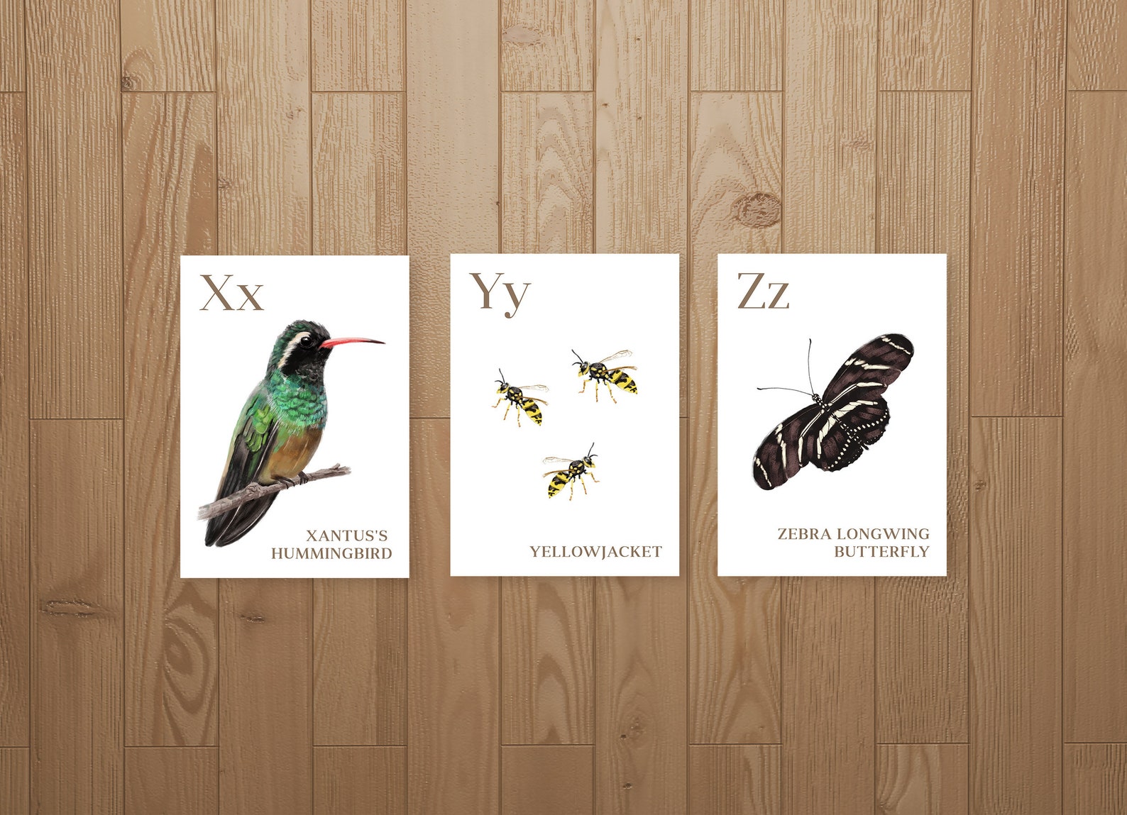 Woodland ABC Cards Animal Alphabet Cards Nature Themed - Etsy