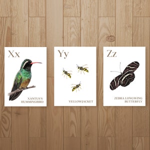 Woodland ABC Cards, Animal Alphabet Cards, Nature Themed Alphabet Cards ...