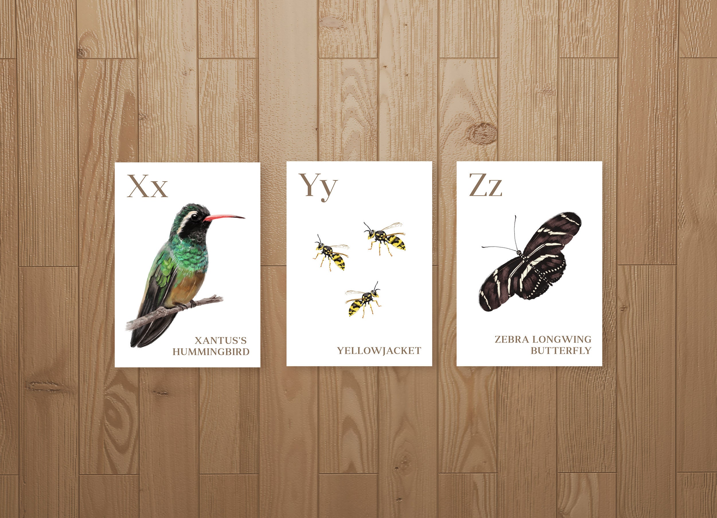Woodland ABC Cards Animal Alphabet Cards Nature Themed - Etsy Canada