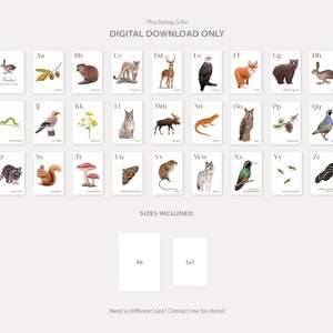 Woodland ABC Cards Animal Alphabet Cards Nature Themed - Etsy