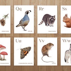 Woodland ABC Cards, Animal Alphabet Cards, Nature Themed Alphabet Cards ...