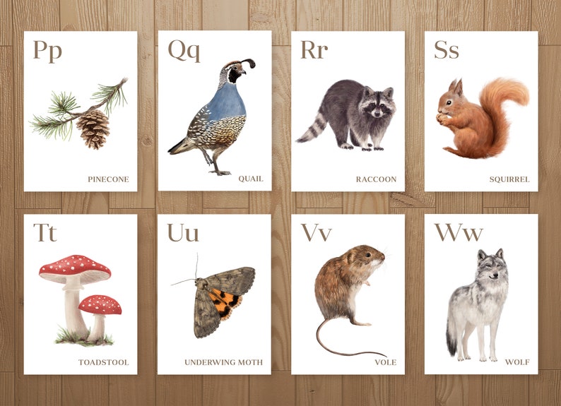 Woodland ABC Cards Animal Alphabet Cards Nature Themed | Etsy