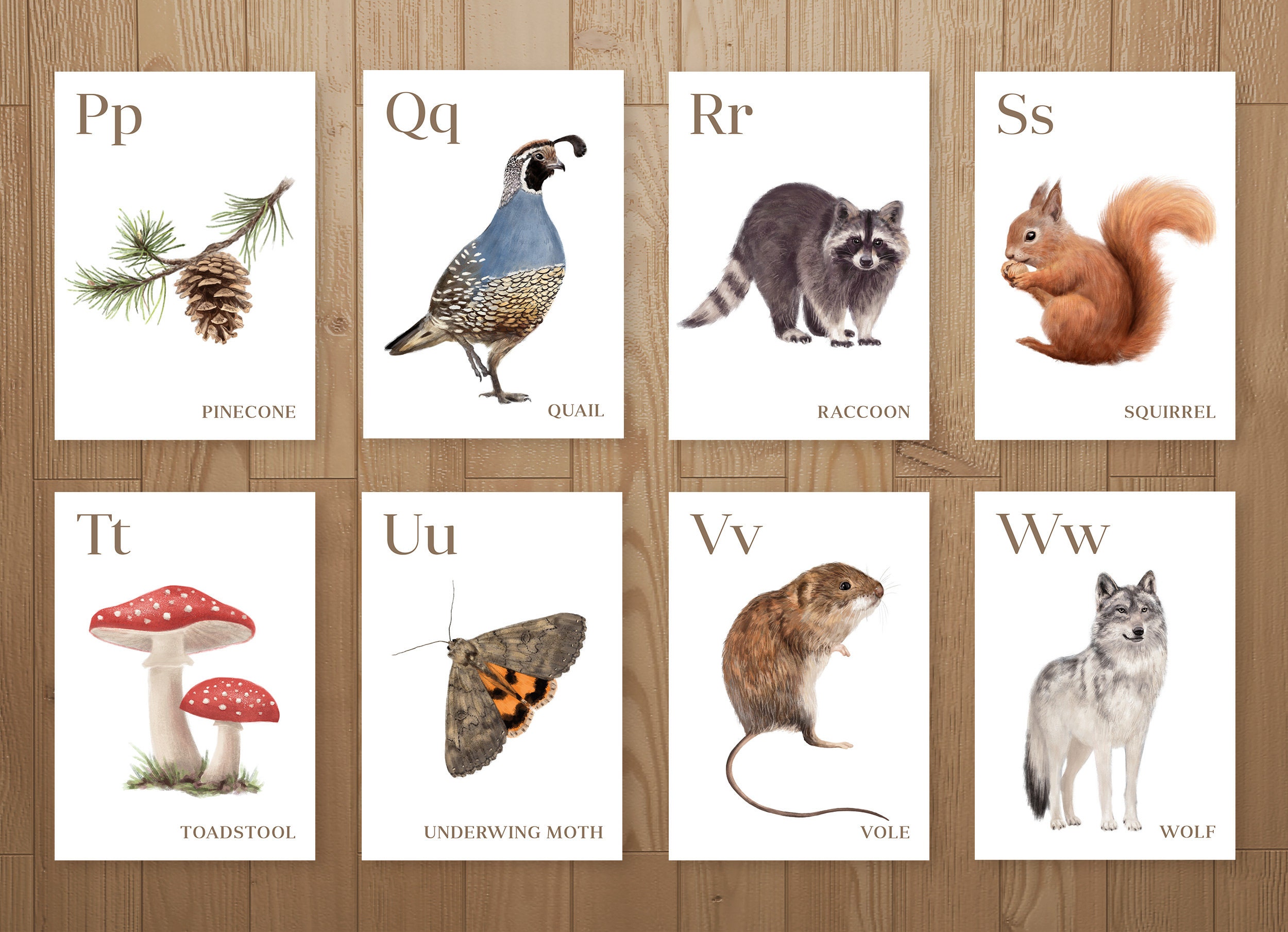 Woodland ABC Cards Animal Alphabet Cards Nature Themed - Etsy Canada