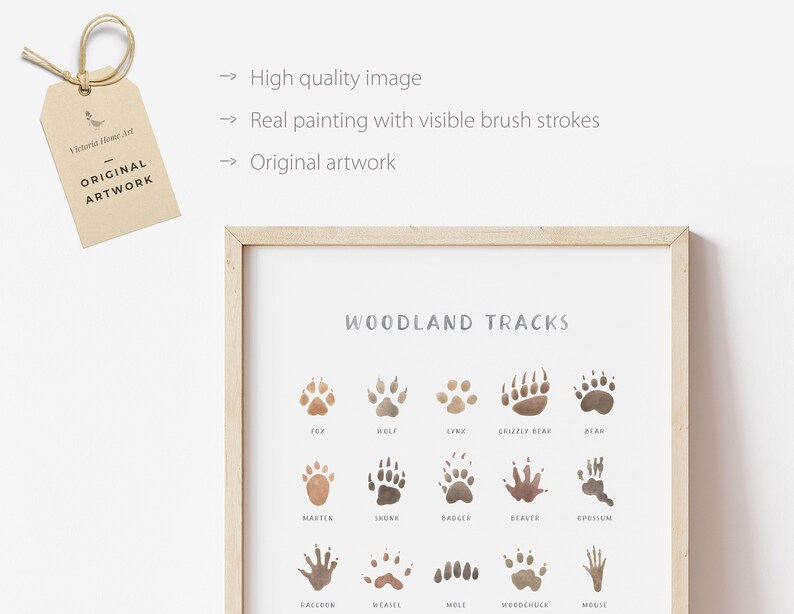 Animal Track Print Woodlands Footprints of the Woodland | Etsy